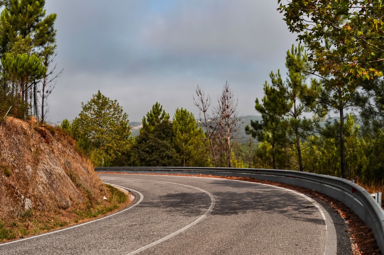 Manfaat Penggunaan Road Barrier di Jalan Raya - Safety World